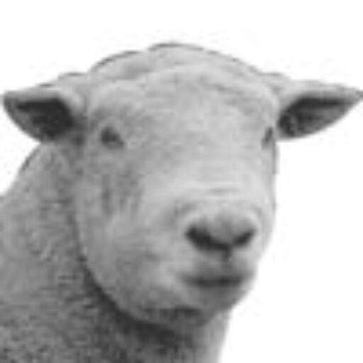 Southdown Sheep Society, NZ » Membership Info