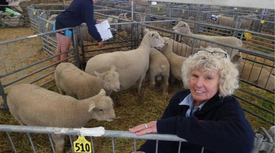 Southdown Sheep Society, NZ » Blog Archive » New Zealand Agricultural ...