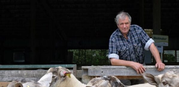 Southdown Sheep Society, NZ » Breeders